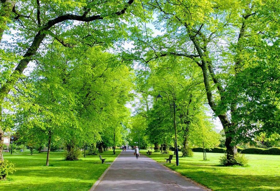 the Environment Centre (tEC) – Bringing the benefits of sustainability ...